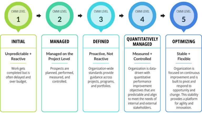 CMMI V3.0: A Guide to Excellence in Organizational Processes - Theoris